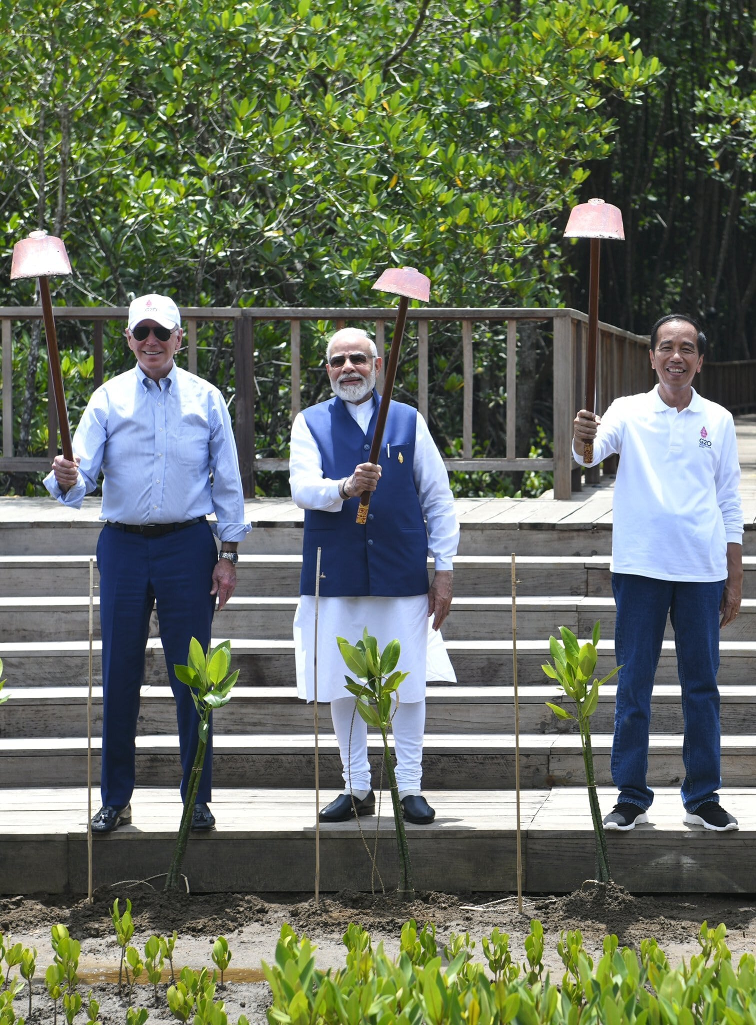 Modi's green diplomacy in Bali: India joins Mangrove Alliance for ...